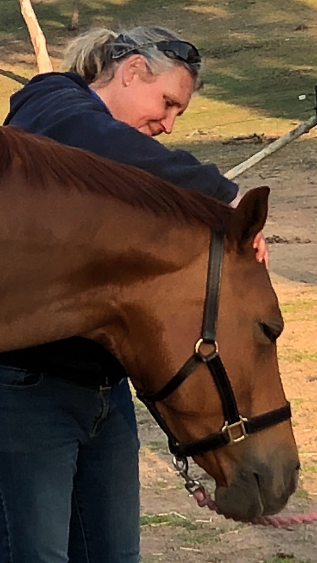 The Benefits of Equine Bodywork: Enhancing Your Horse's Well-being and ...