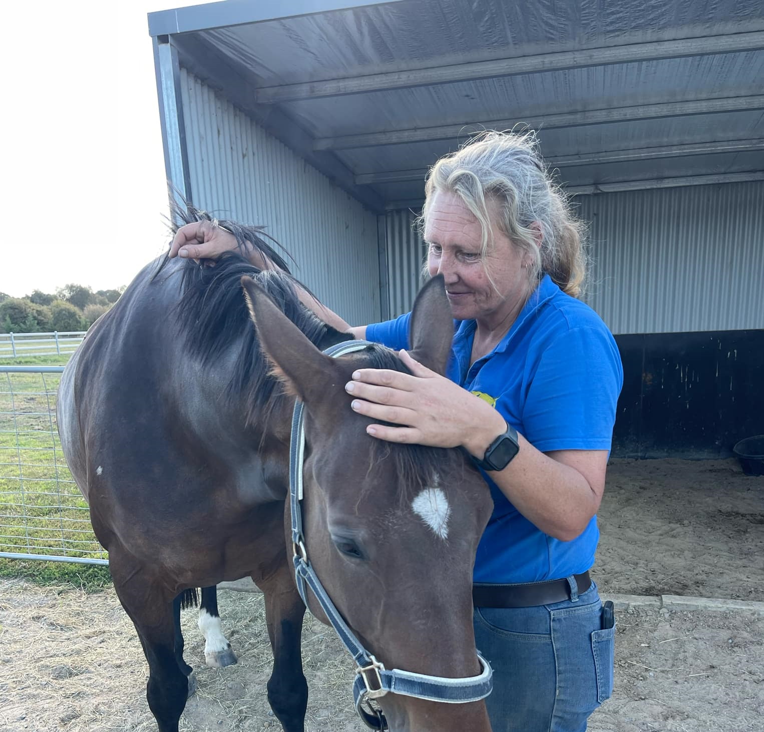 The Importance of Consistency: Regular Bodywork Practices for Optimal ...