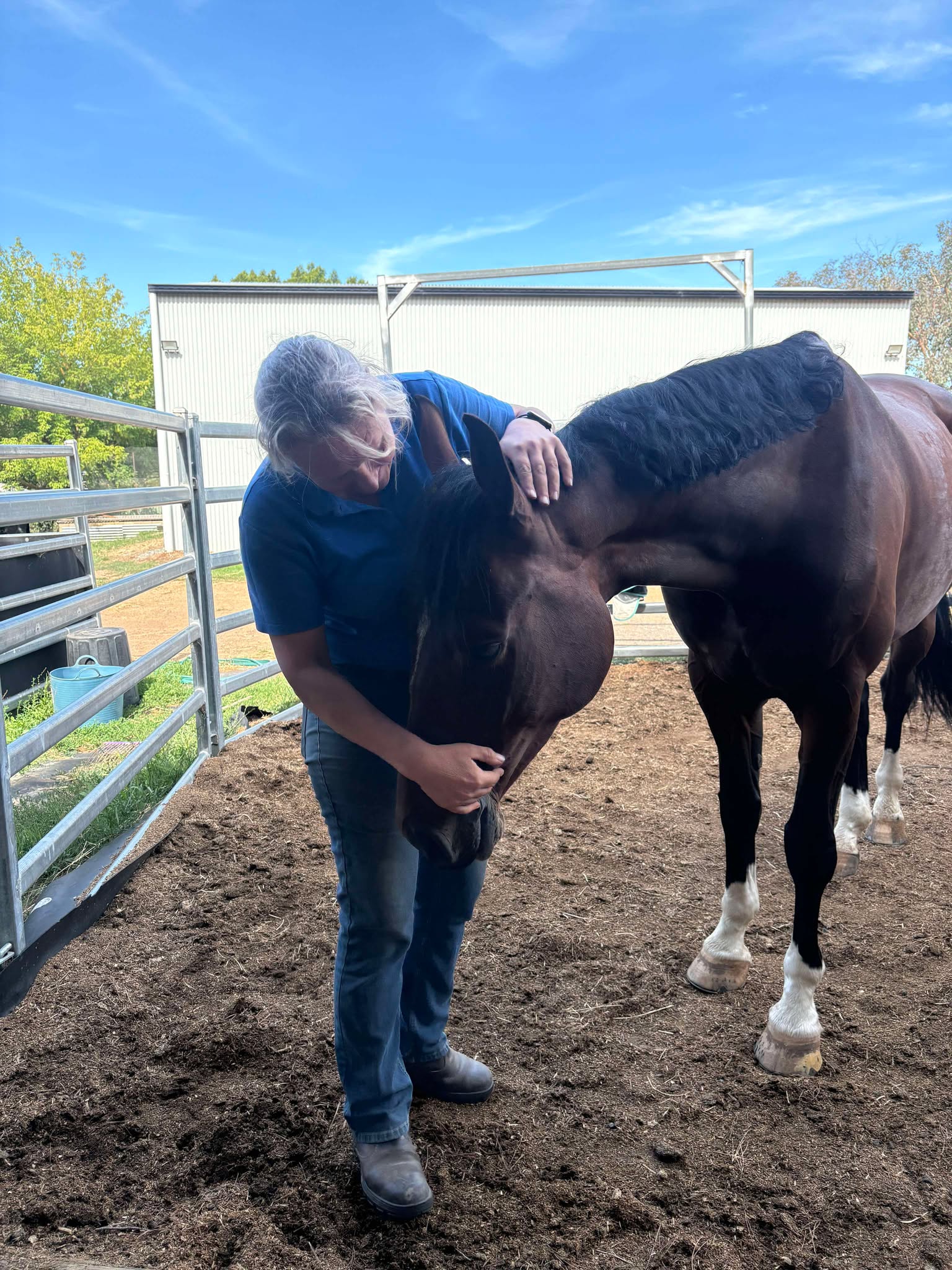 Empowering Horsewomen: How Equine Bodywork Can Change Your Life and ...
